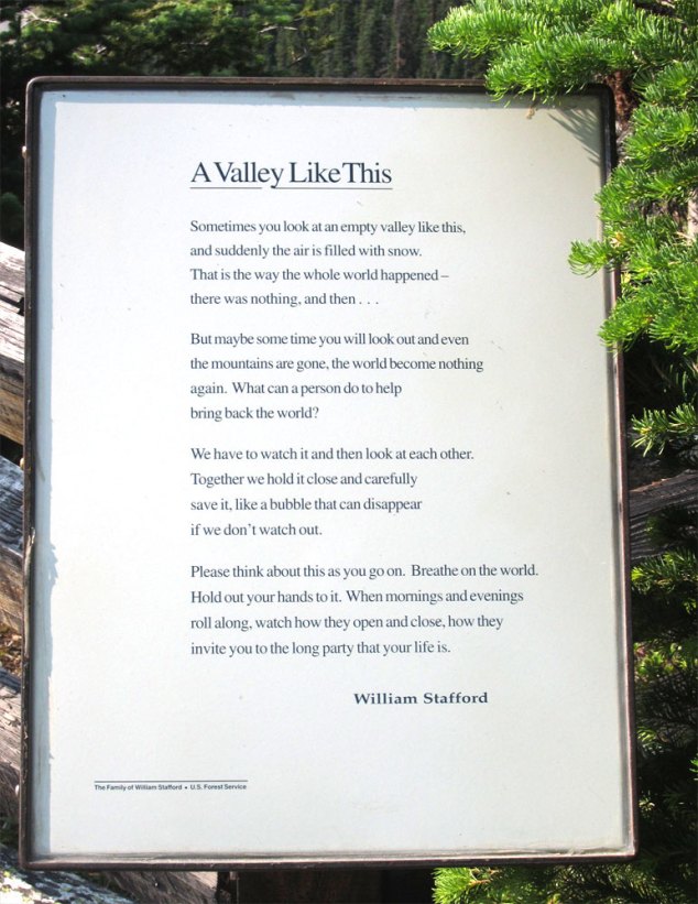 A Valley Like This | Curvirostra